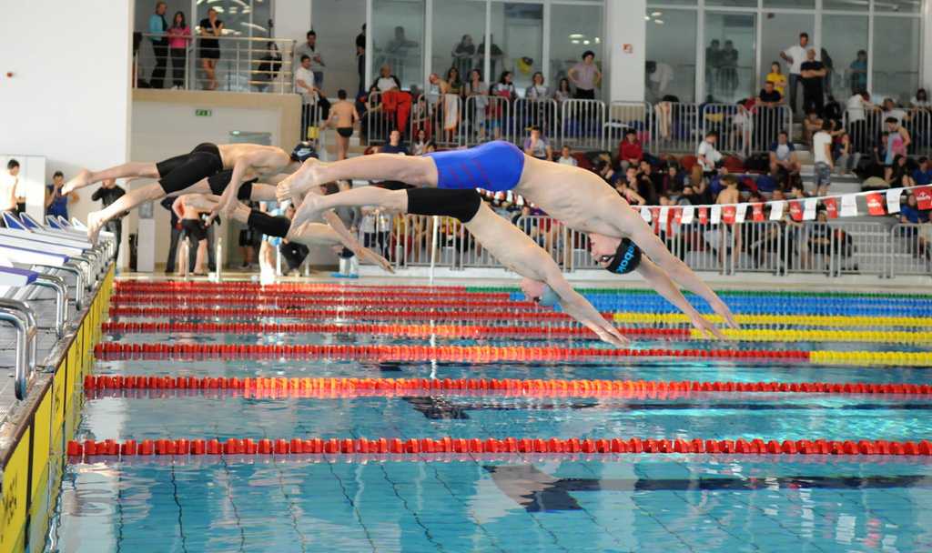 Banjaluka: Na plivačkom mitingu 560 takmičara uz 10 zemalja ...