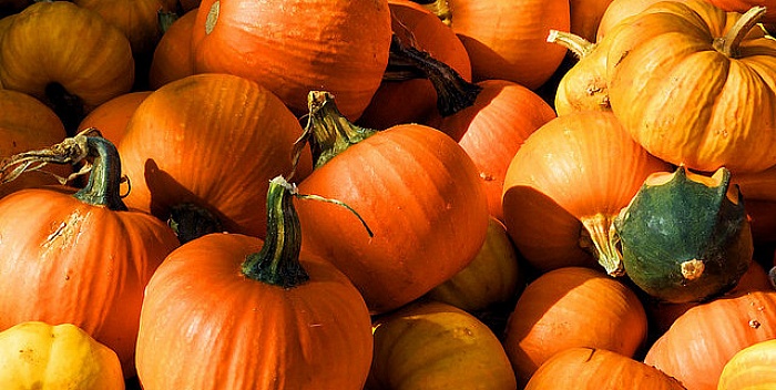 Kako sve možete jesti bundevu - Banjalučanke.com