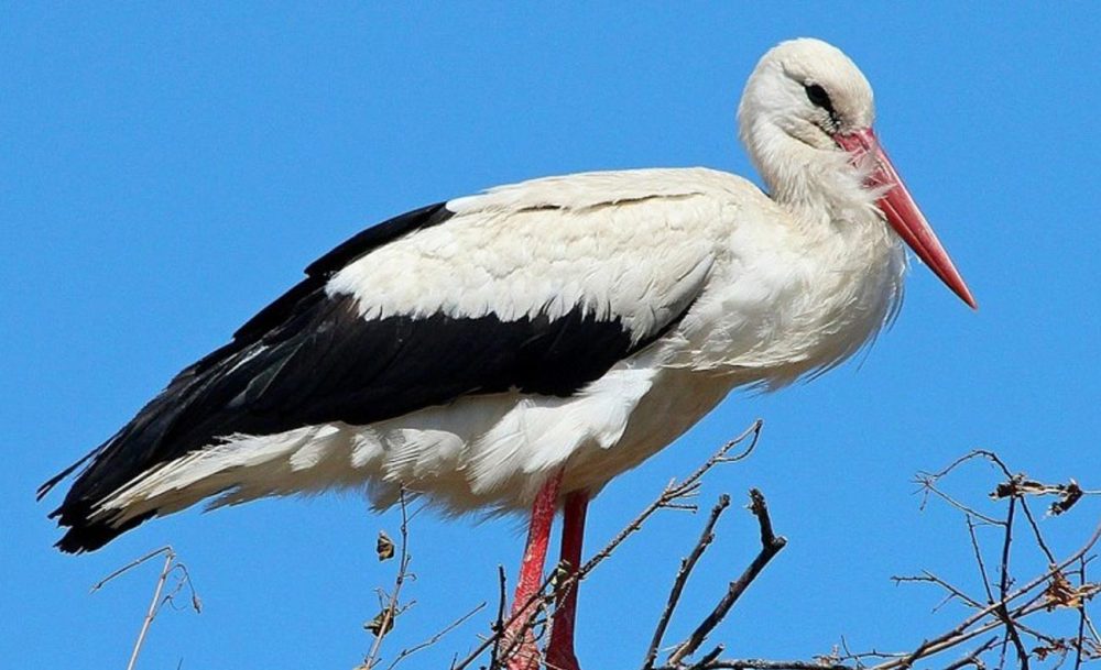 I rode pokazatelj stanja životne sredine - Banjalučanke.com