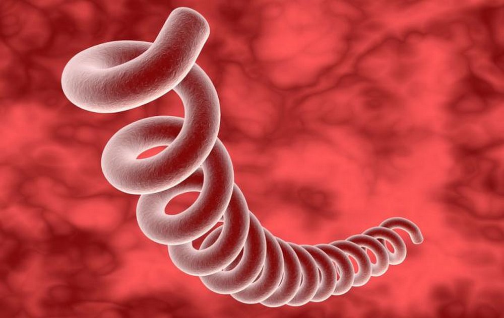 Sifilis sve češći u Evropi - Banjalučanke.com