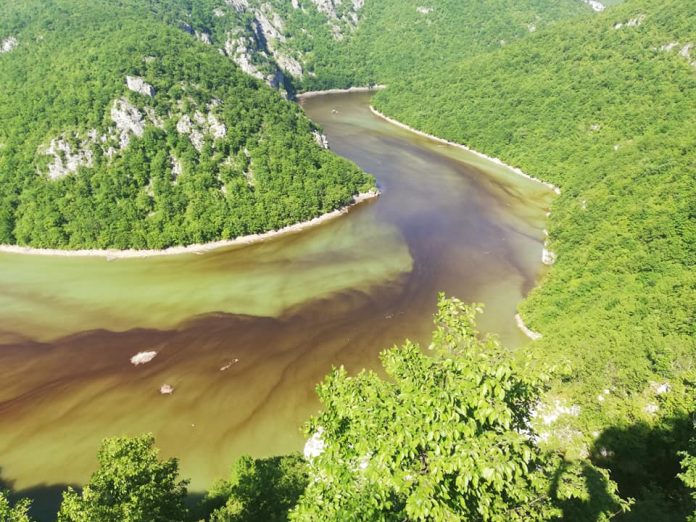 Mrlja na Vrbasu: "Definitivno cvjetanje algi" - Banjalučanke.com