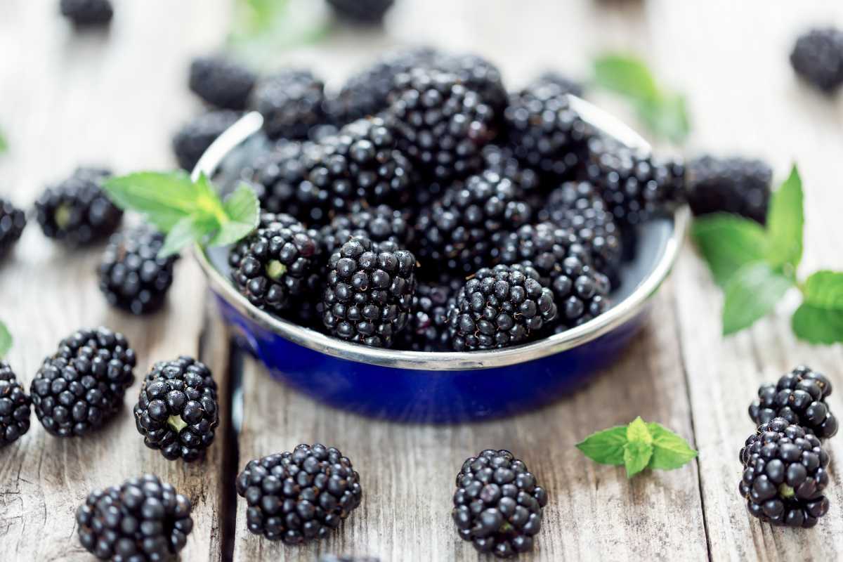 Čudotvorne kupine: Prirodan lijek protiv anemije, dijabetesa, afti ...