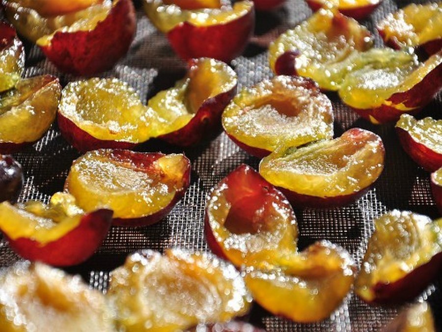 Sušenje šljiva: Od načina branja do skladištenja i pakovanja ...