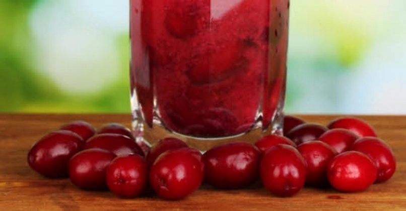 Ljekovita svojstva drenjka: Domaći čaj i liker od drenjina ...