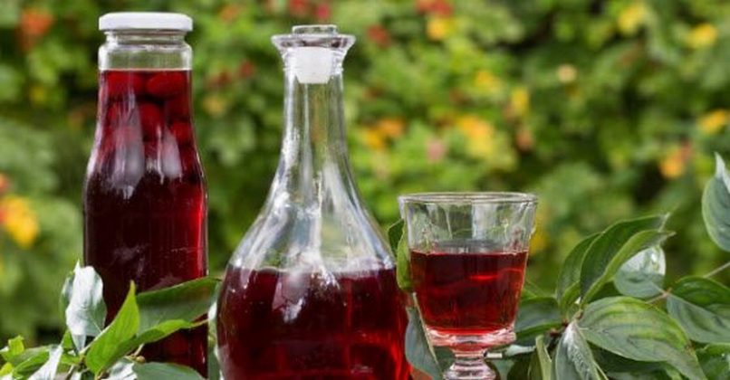 Ljekovita svojstva drenjka: Domaći čaj i liker od drenjina ...